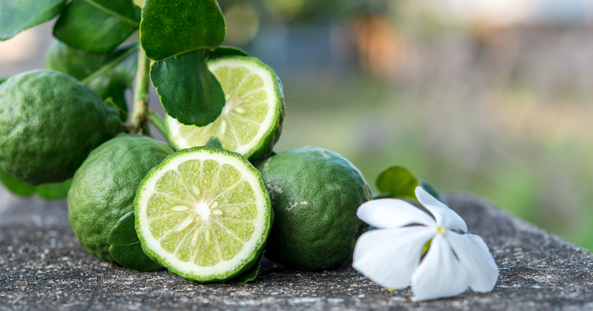 Perché il Bergamotto fa Bene alla Salute - Grand Chef Evolution