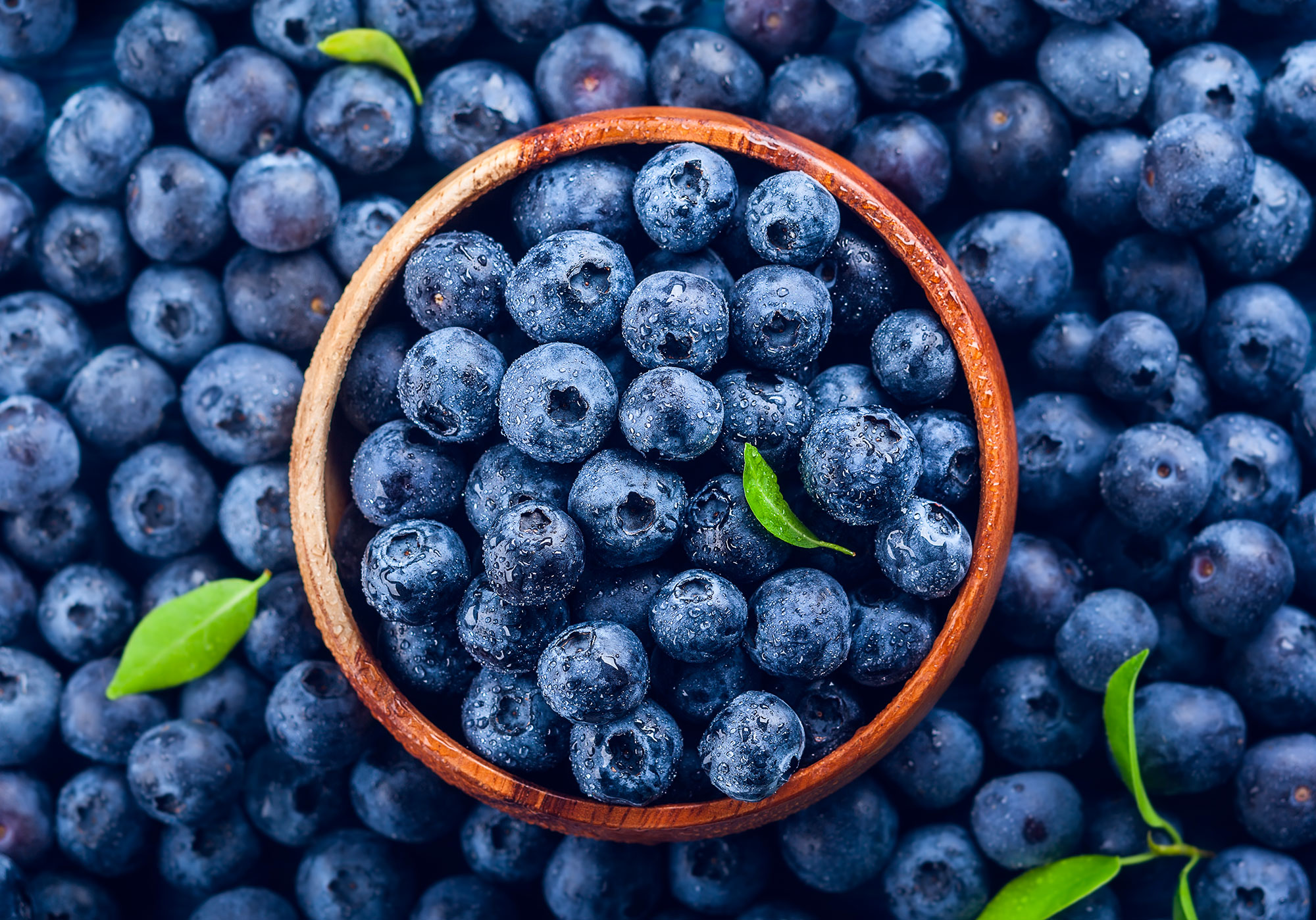 Mirtillo nero: proprietà e benefici per la tua salute - Grand Chef ...