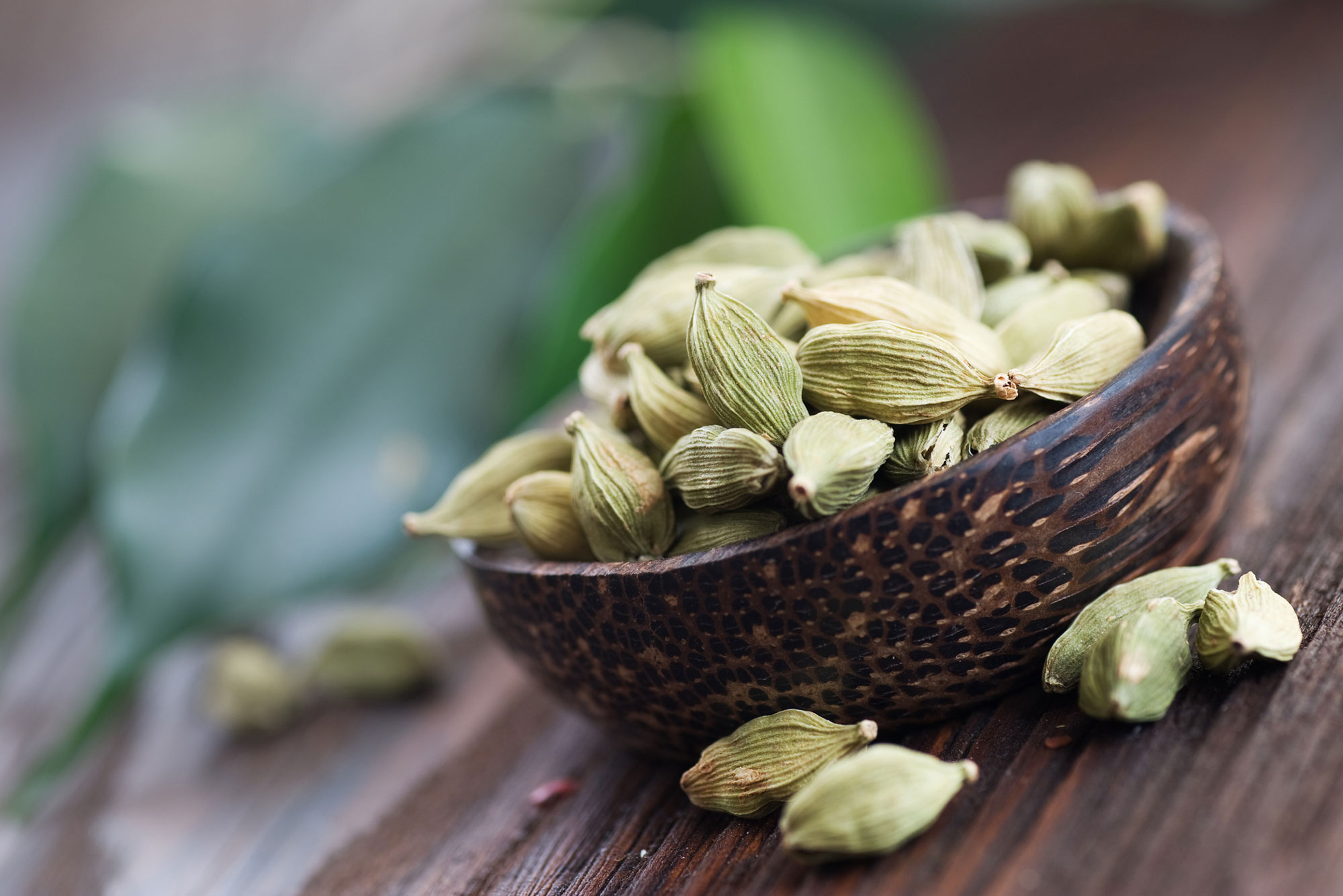 A Cosa Servono i Semi di Cardamomo? - Grand Chef Evolution